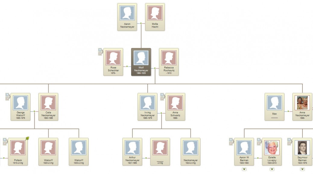 Who are the Neckameyers? - Cousinist: Family Tree and Genealogy