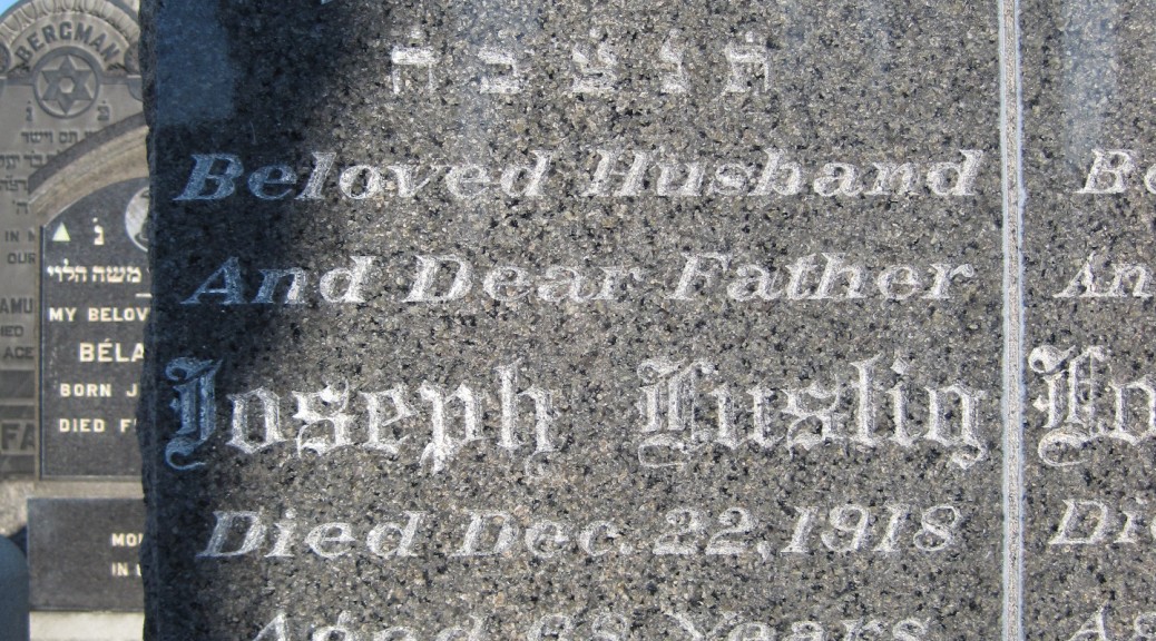 Birth records from Czecze don't include Joseph Lustig - Cousinist ...