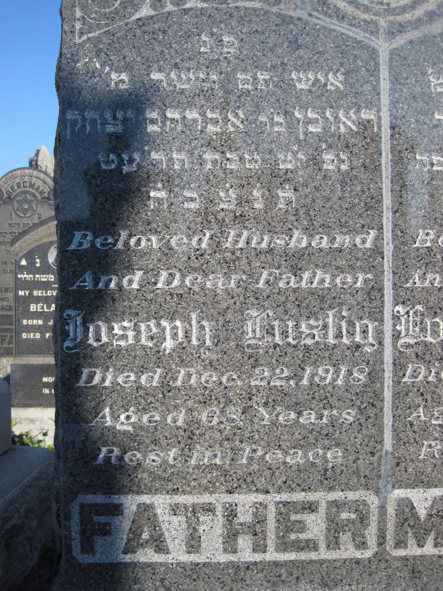 Birth records from Czecze don't include Joseph Lustig - Cousinist ...